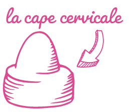 Cervical Cap - Ma Contraception